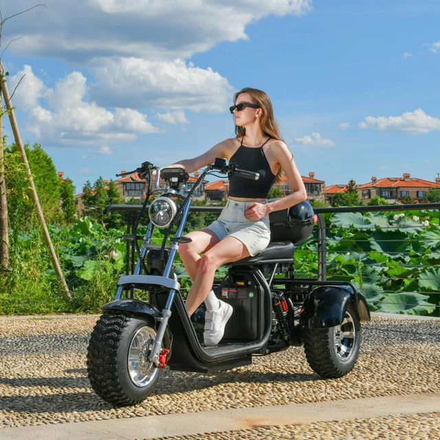 MAX LODA 250KG aldult Electric Fat Tire Scooter 2000W Max Speed 45KM/H ...