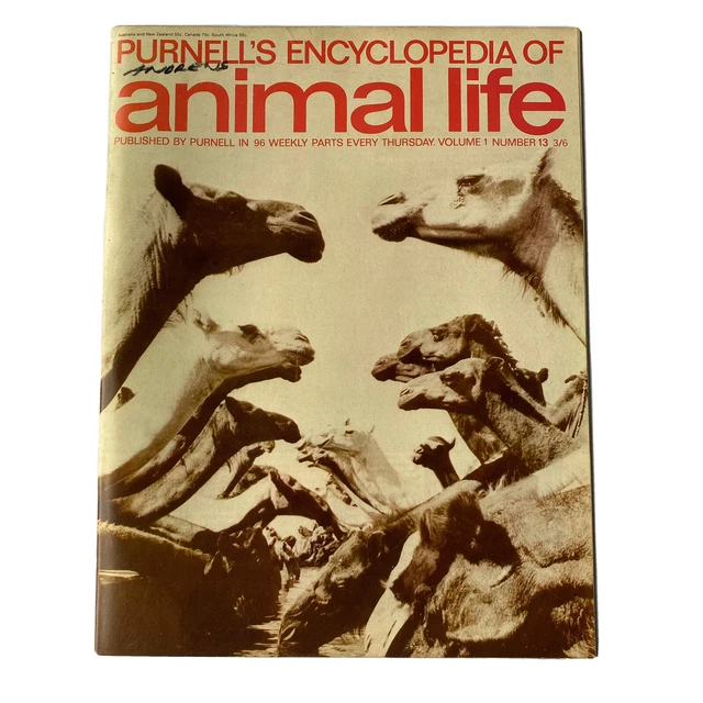 PURNELL’S ENCYCLOPEDIA OF Animal Life Magazine Volume 1 Number 13 Issue ...