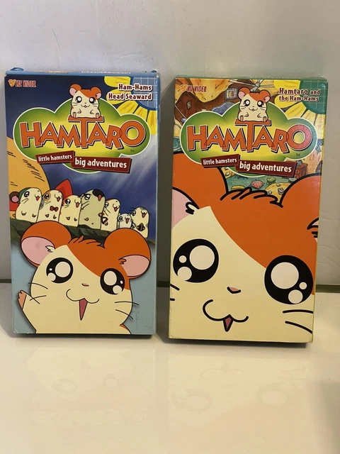 HAMTARO VHS VIDEO Tapes Hamtaro and the Ham-Hams & Head Seaward Anime ...