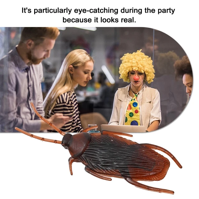 REALISTIC & DISTURBING Scary Cockroach Insect Joke for Parties & Cards ...