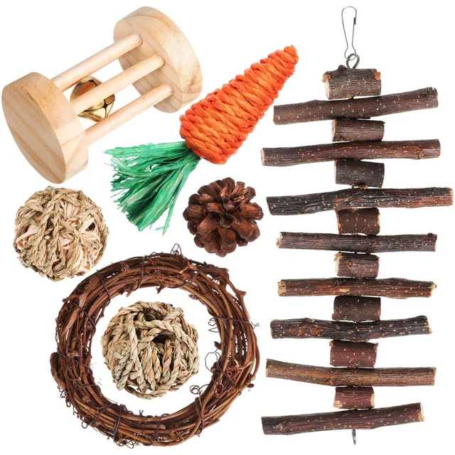 HAMSTER TOYS RAT Toys Chinchilla Toys Hamster Chew Toys Cage ...