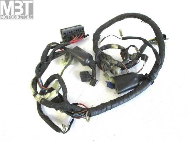 YAMAHA XJ 600 Diversion 4EB Faisceau de Câbles Principal Câble Fiche Bj.96-98 EUR 50,90 ...