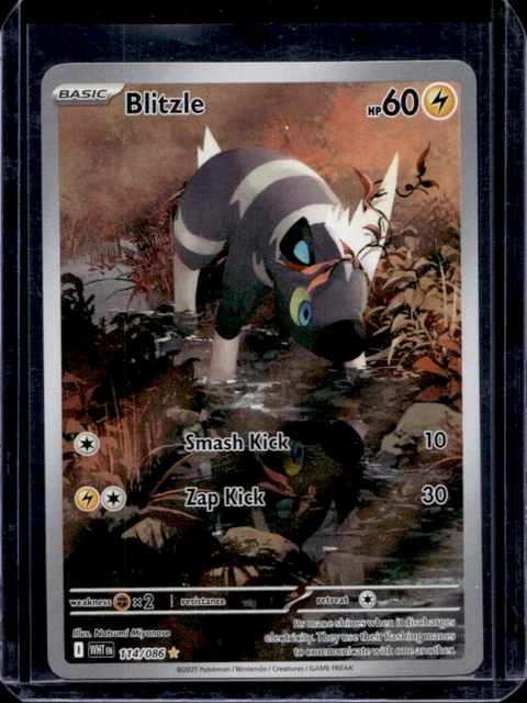 2025 POKEMON SV White Flare WHT EN Blitzle Illustration Rare #114/086 £ ...