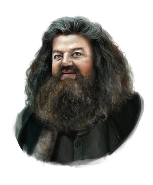 HARRY POTTER RUBEUS Hagrid Robbie Coltrane Wall Art A4 Poster Print A4 Size 7 77 PicClick UK harry-potter-rubeus-hagrid-robbie-coltrane-wall-art-a4-poster-print-a4-size-7-77-picclick-uk