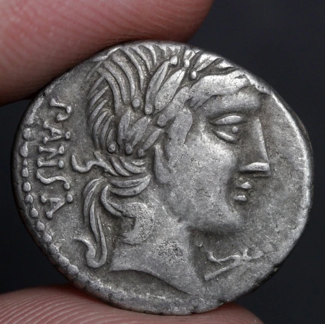 APOLLO HEAD DENARIUS Ancient Roman Republic Silver Coin Vibius Pansa ...