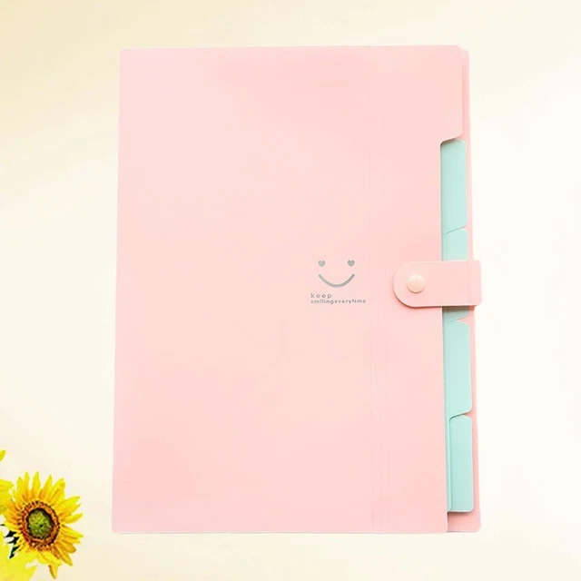 DOCUMENT ORGANISER ORGANIZER Cute Folders for School File Holder $21.84 ...