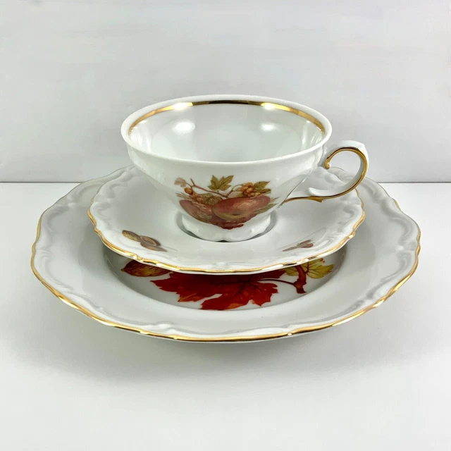 VINTAGE WINTERLING WEST Germany Gold Trim Tea Cup & Saucer Trio Fruit ...