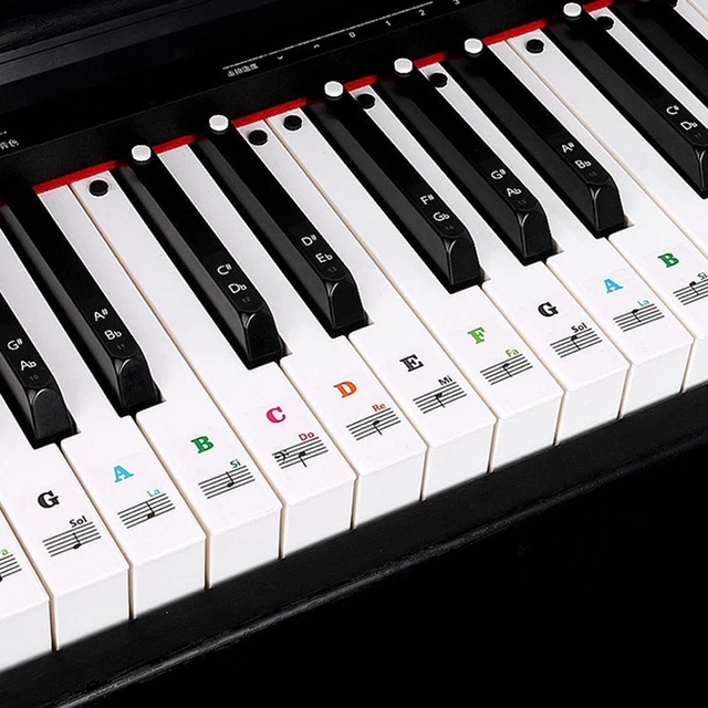 BEGINNER FRIENDLY KEYBOARD Stickers for Piano Learning For 8861544937 ...