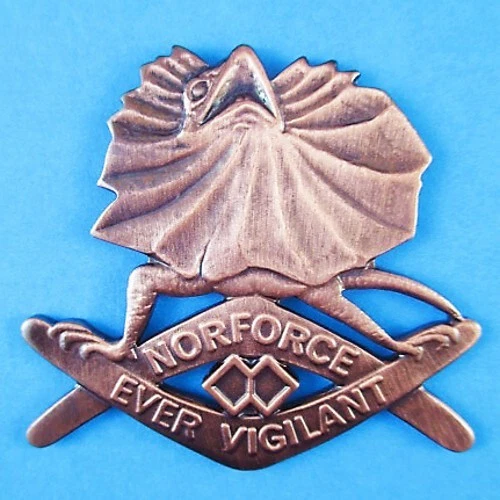 AUSTRALIAN ARMY NORFORCE Hat Badge Surveillance Unit -01 $25.16 ...