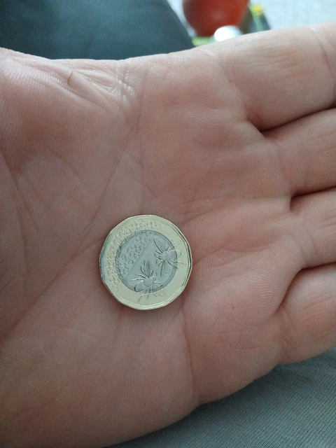 THE 2023 KING charles Bee £1 £5.43 - PicClick UK