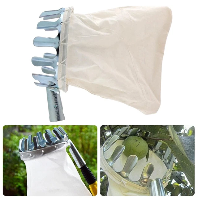 STRUMENTO AUSILIARIO RACCOLTA zincato per raccolta senza problemi di vari frutti EUR 20,87 ...