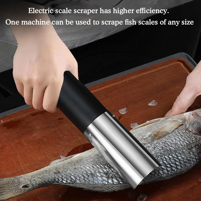 PORTABLE ELECTRIC FISH ScalerClean Fish Scales Effortlessly with ...