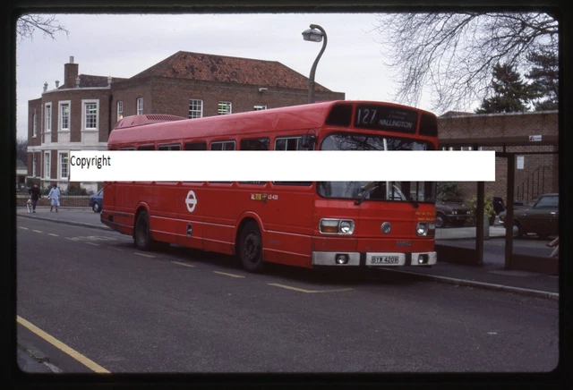 LONDON TRANSPORT BUS Colour Photograph Leyland National LS 420 BYW 420V ...