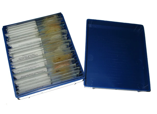 FOSSIL THIN SECTION collection 25 different microscope slides coral ...