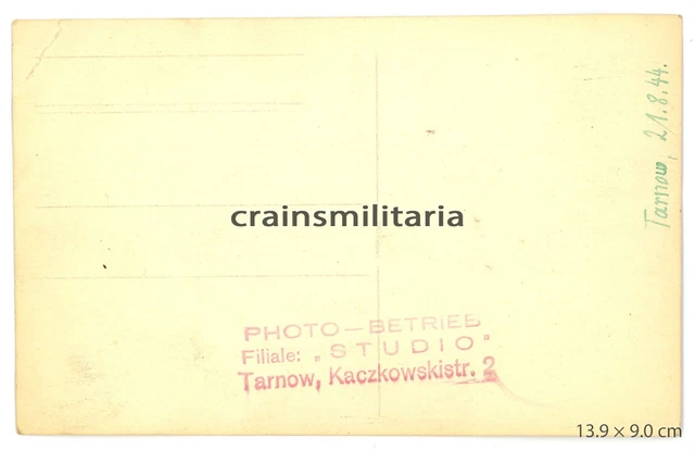 ORIG. FOTO AK Portrait Luftwaffe Obergefreiter in TARNOW Polen 1944 EUR ...