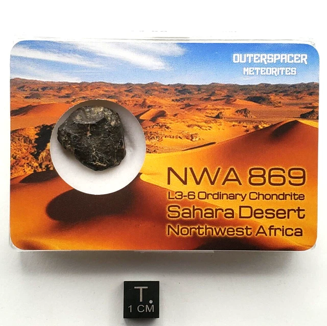 NWA 869 | A Classic Favorite Meteorite from Northwest Africa | 5.73g ...