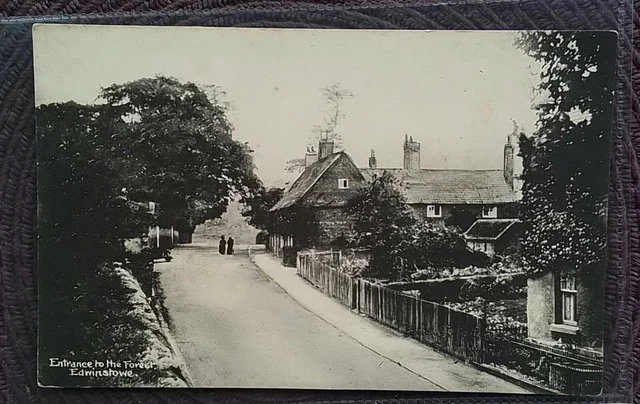 RARE EARLY 1900S POSTCARD ENTRANCE TO THE FOREST EDWINSTOWE IN ...