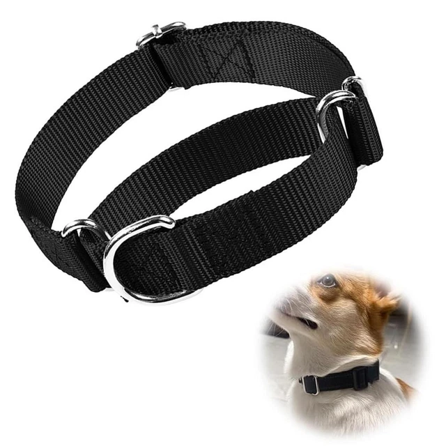 MARTINGALE COLLAR FOR Dogs, Reflective Dog Training Collars - Dogs ...