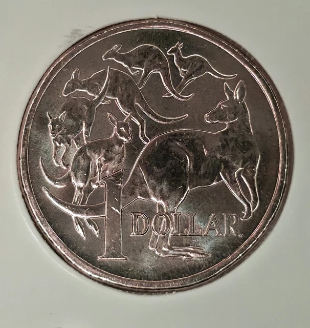 $1 AUSTRALIAN 2026 Six Mob of Roos Dollar Coin. 6 Kangaroos. $7.74 ...