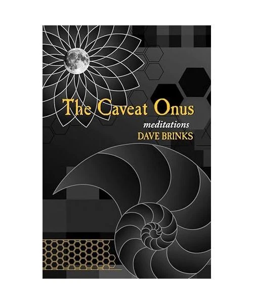 CAVEAT ONUS: MEDITATIONS, Dave Brinks EUR 31,25 - PicClick FR