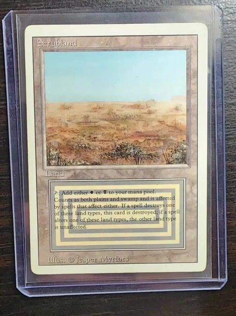 **1994 VINTAGE MTG Magic The Gathering RÉVISÉ Double GOMMAGE MP HP JOLI ...