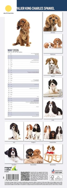 CAVALIER KING CHARLES 2026 Slim Calendar £10.77 - PicClick UK