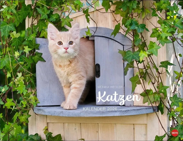 MONIKA WEGLER | Monika Wegler: Katzenkalender 2026 | Kalender | Deutsch ...