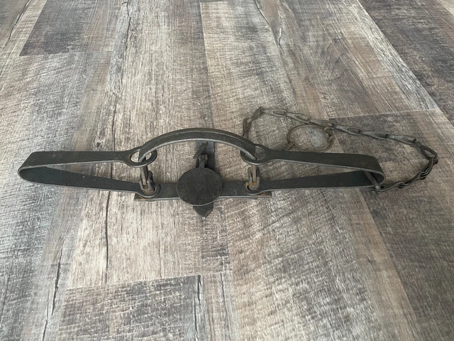 #3 NEWHOUSE TRAP with stamped springs full chain and ring. UNCLEANED ...