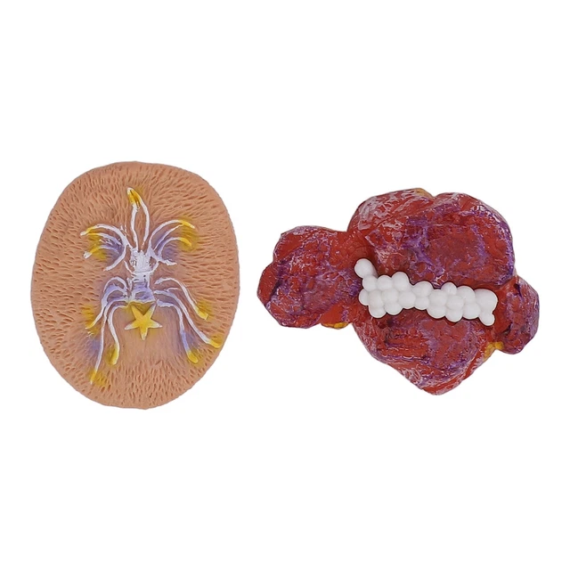 4X STARFISH FIGURINE Simulated Sea Star Beach Themed Animals Ornaments ...