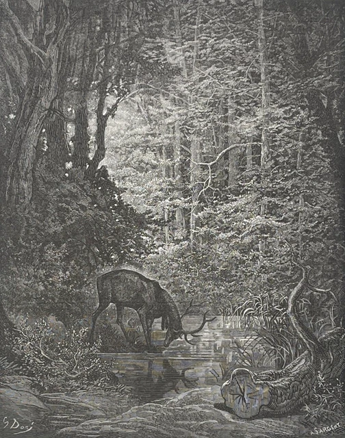 IL CERF CHE Si Vede Nell'Etang Gustave Doré Xylografia Favola La ...
