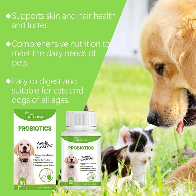 80PCS PET PROBIOTIC For Cats Digestive Health Supplement Probiotic ...