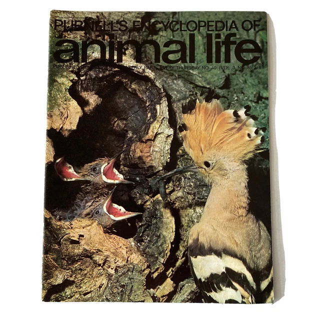 PURNELL’S ENCYCLOPEDIA OF Animal Life Magazine Volume 3 Number 8 £12.16 ...