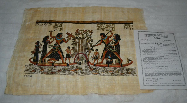 PAPYRUS ÉGYPTIEN ANCIEN du Nil certificat de garantie œuvre d'art Emad ...