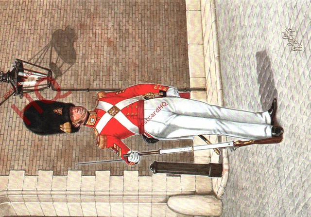 POSTCARD> MILITARY UNIFORM, Colour-Sergeant, Scots Fusilier Guards ...