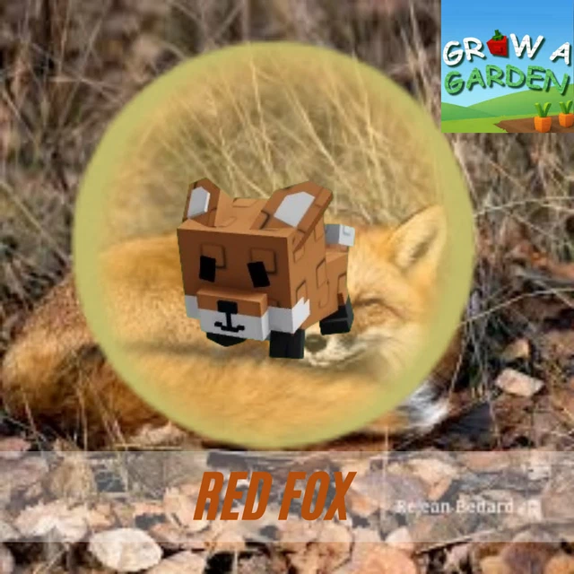 🔥NEW🔥RED FOX-(KANN SEEDS klauen) Grow a Garden -Roblox EUR 2,99 ...