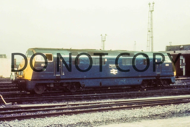 UK DIESEL TRAIN Railway Photograph Of Class 42 Warship Loco D839. Rm43W ...