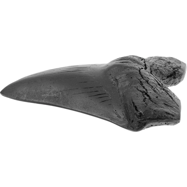 GIANT SHARK REPLICA Megalodon Shark Teeth Fake Model Craft £14.39 ...
