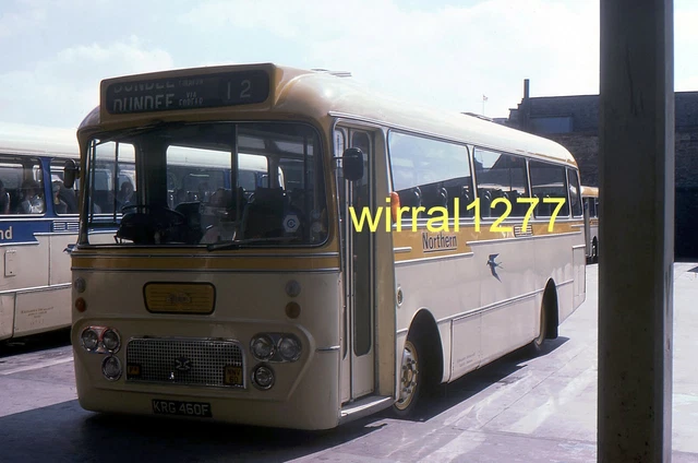 6X4 BUS COLOUR photograph Alexander Northern Viking KRG460F £1.00 ...