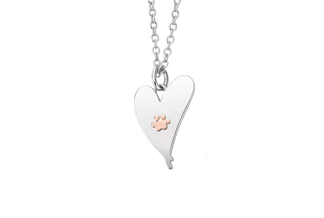 NEW WELSH CLOGAU Silver & Rose Gold A Dog Lovers Dream Heart Pendant £ ...