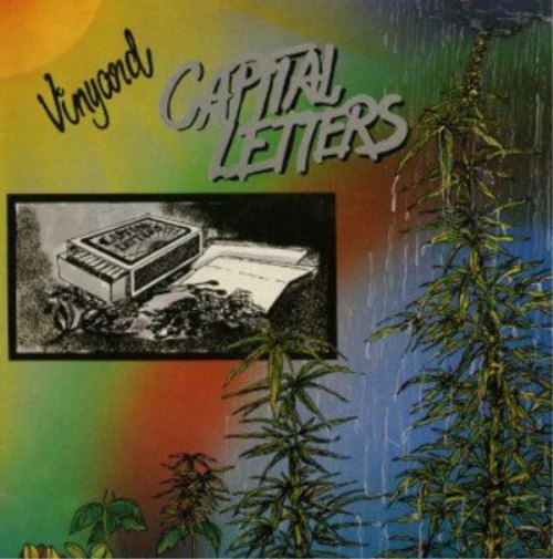 CAPITAL LETTERS VINYARD (CD) Expanded Album EUR 15,50 - PicClick FR