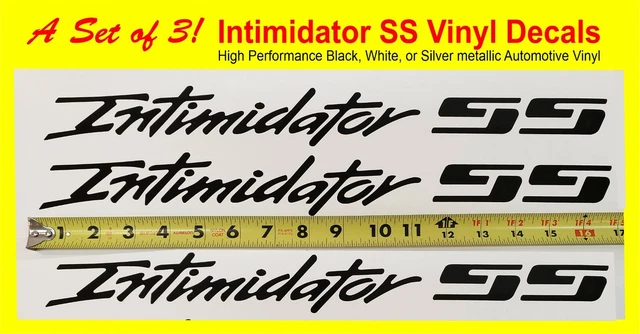 Intimidator Ss Logo