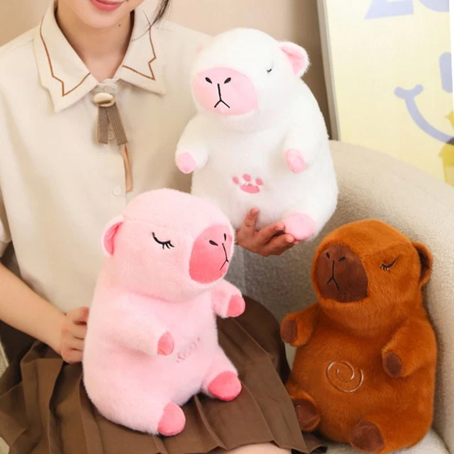 ANIMAL CAKE CAPYBARA Plush Doll Pink Capibara Anime Fluffty Toy Home ...