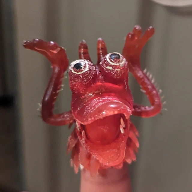 VINTAGE 1970'S RED Rubber Jiggler Finger-Puppet Ugly Monster UK $40.00 ...