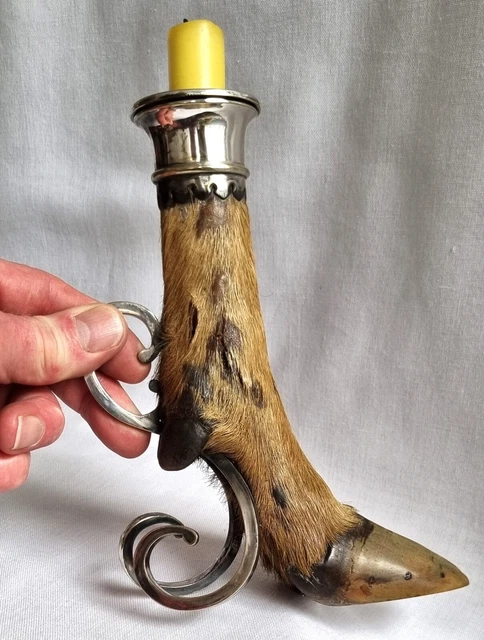 ANTIQUE TAXIDERMY DEER Hoof Candlestick Silver Plated Stag Hoof Candle ...