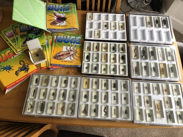 NATIONAL GEOGRAPHIC REAL Life Bugs And Insects in Resin Collection ...