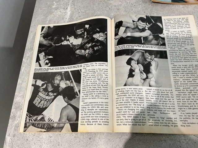 HULK HOGAN BAMBAM bigelow, Dustin Rhodes, Von Erichs, THE WRESTLER ...