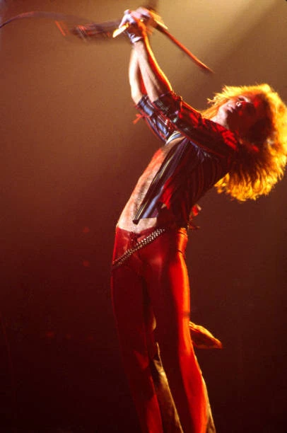 DAVID LEE ROTH From Van Halen Performs Live At The Palladium 1 Old ...