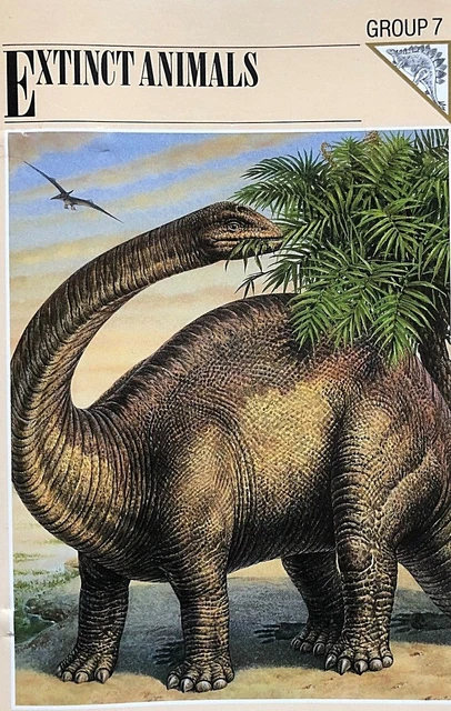 WILDLIFE-FACT-FILE-EXTINCT ANIMALS-WILD ANIMALS-SCHOOL-NATURE-FROM 1 to ...