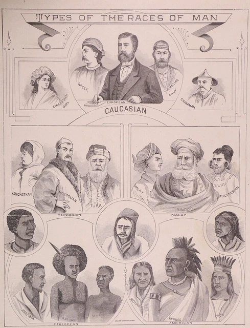 1888 CHART ~ TYPES of the RACES of MAN ~ (11x14)-#116 £15.30 - PicClick UK