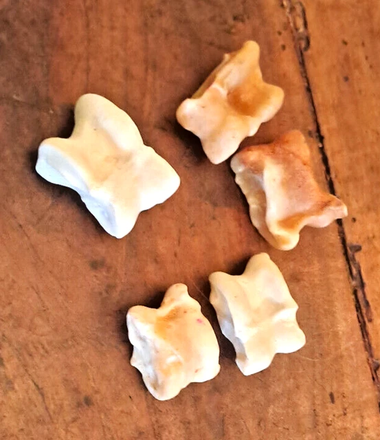 ANCIEN JEU D Osselets En Os Veritable Lot De 5 EUR 15,00 - PicClick FR